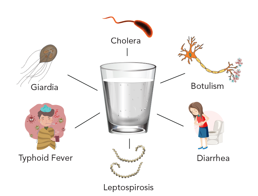 Common Waterborne Diseases In India Treatment Prevention