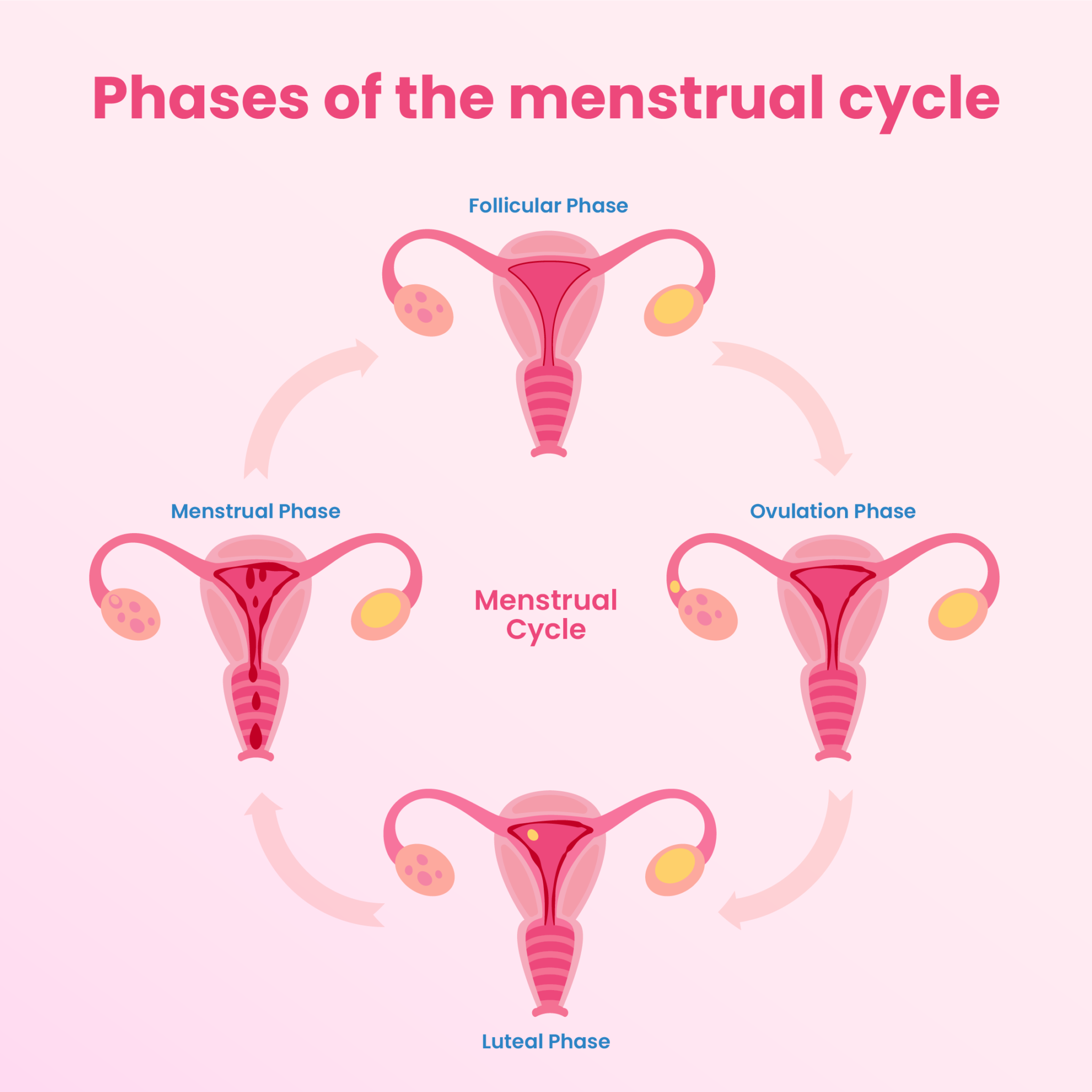 All About Periods: Cycle, Sanitary Products, Problems & Tracking | MFine